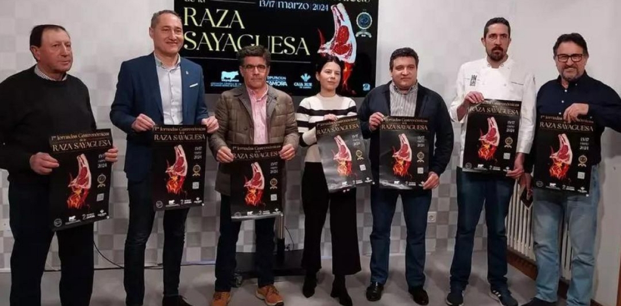 La carne de Raza Sayaguesa estrena jornadas en Zamora | Bueyes de Sayago