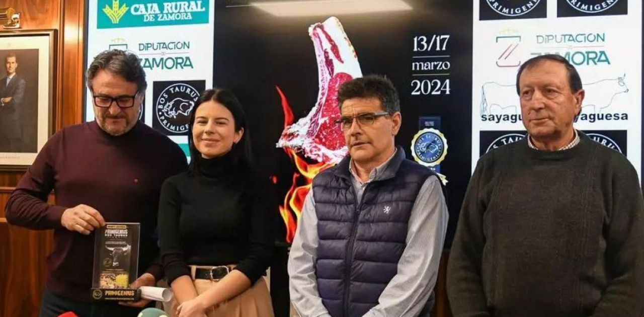 La raza sayaguesa produce 150 bueyes al año. | Bueyes de Sayago